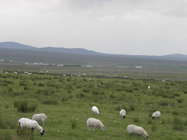 Postcard Gallery of Barvas and Brue, Isle of Lewis
